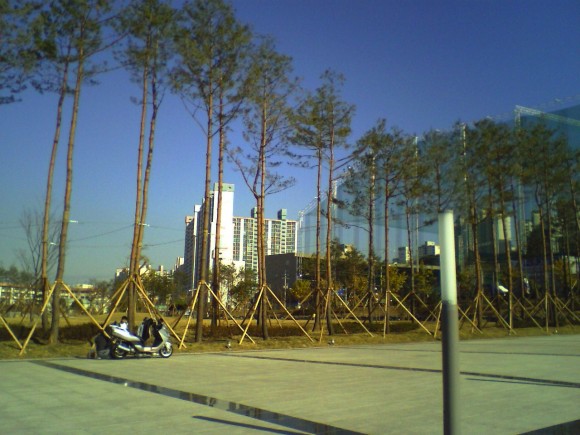 sch-s370으로 찍은 사진...